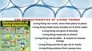 Life process Class10 Chapter 1 Biology Notes | PPTX