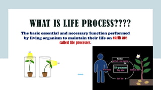 Life process Class10 Chapter 1 Biology Notes | PPT