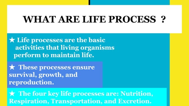 LIFE PROCESS ppt h visits hhssmvyuev3bww.pdf