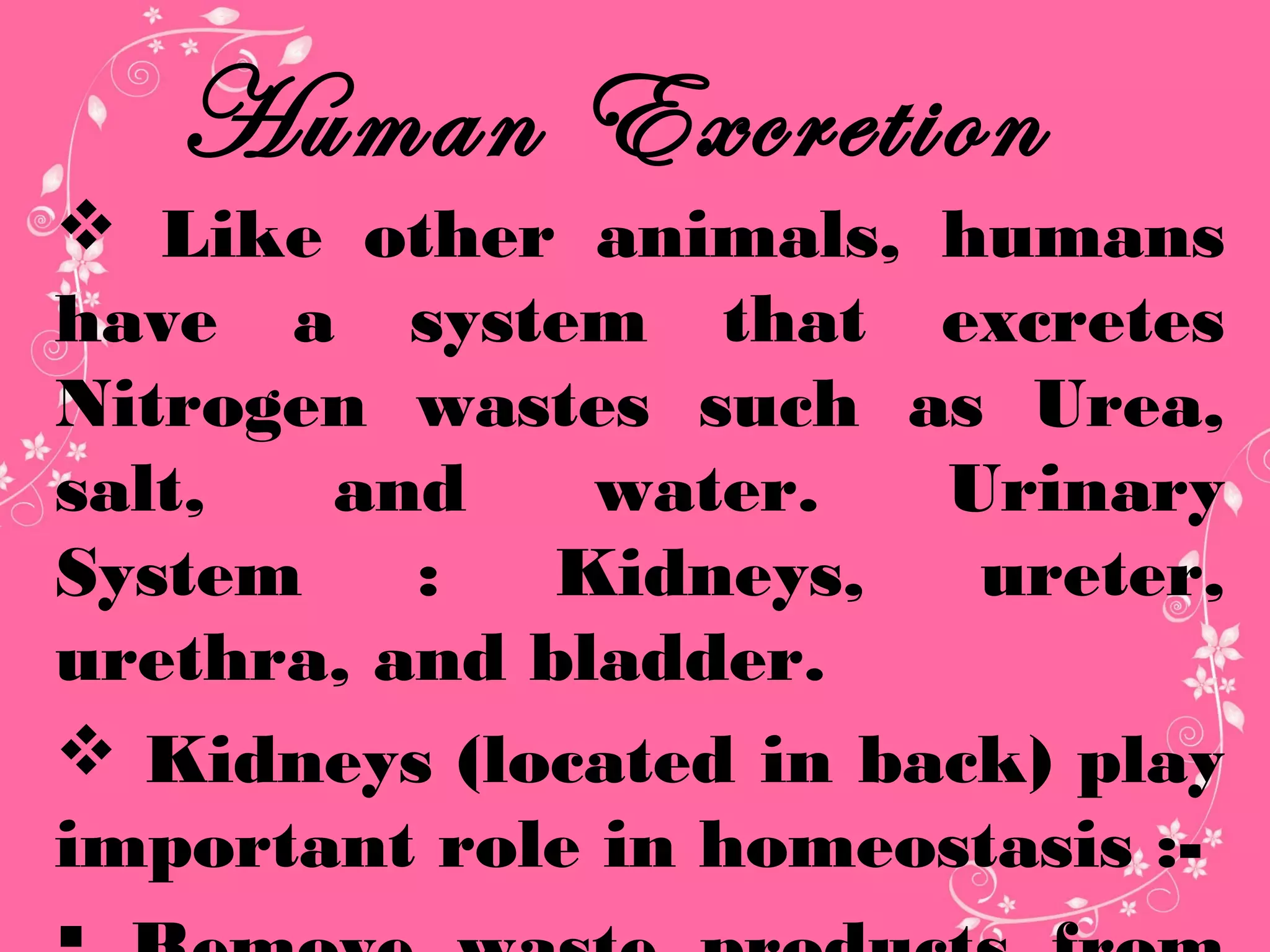 Life process excretion | PPT
