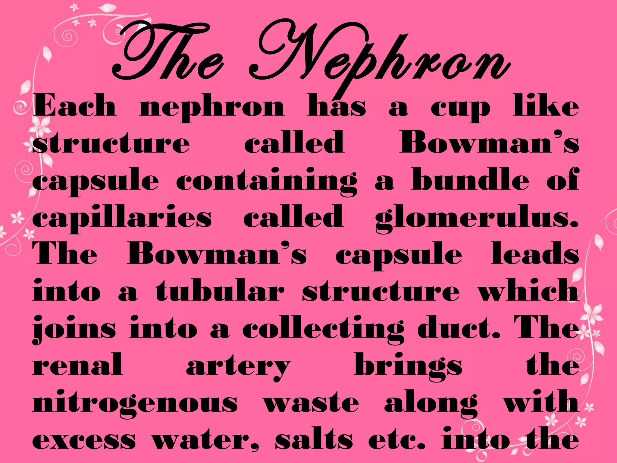 Life process excretion | PPT