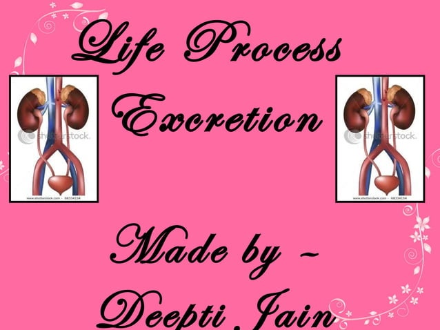 Life process excretion | PPT