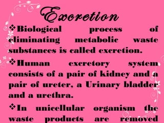 Life process excretion | PPT