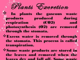 Life process excretion | PPT