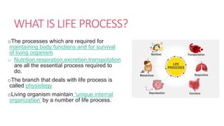 Life process(NUTRITION) | PPT