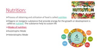 Life process(NUTRITION) | PPT