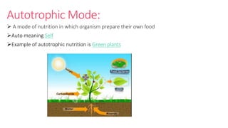 Life process(NUTRITION) | PPT