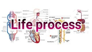 life process 1.pptx