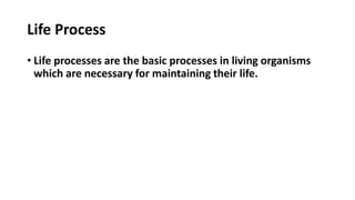 life process 1.pptx