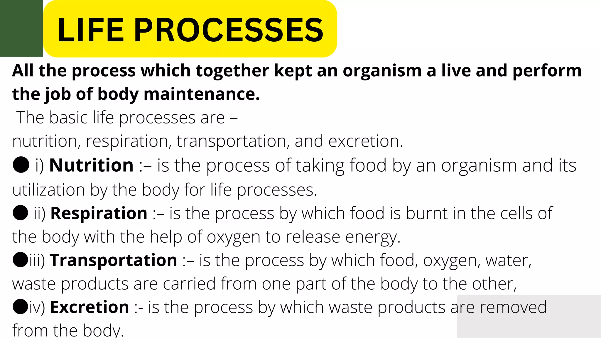 life process (1).pdf