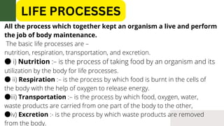 life process (1).pdf
