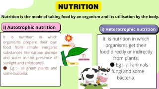 life process (1).pdf