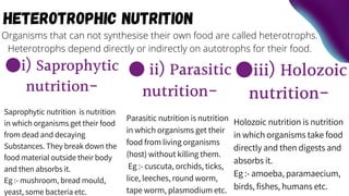 life process (1).pdf