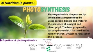 life process (1).pdf