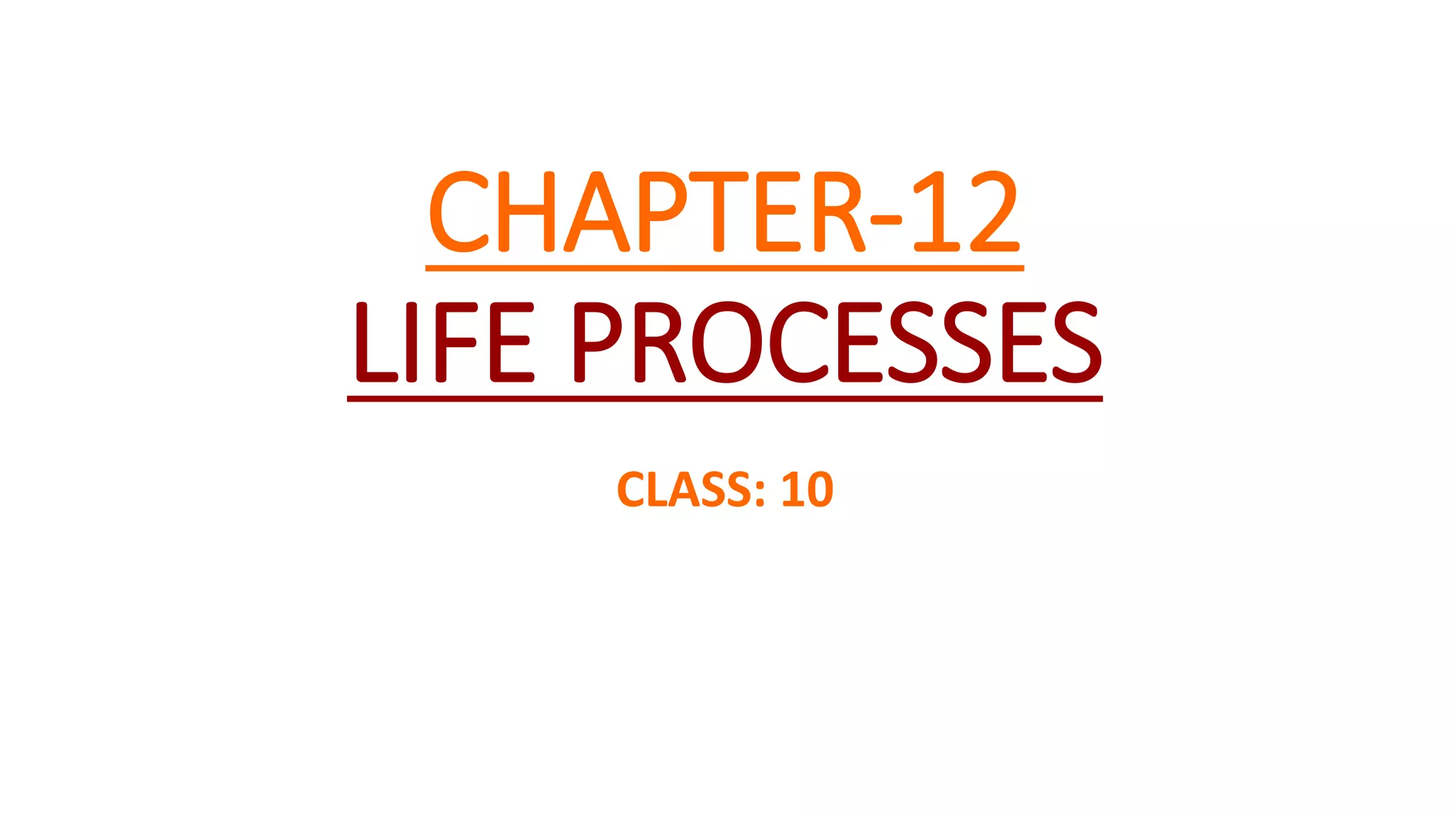 Life process 2 | PPT
