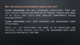 LIFE PROCESSES -1.pptx