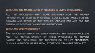 LIFE PROCESSES -1.pptx