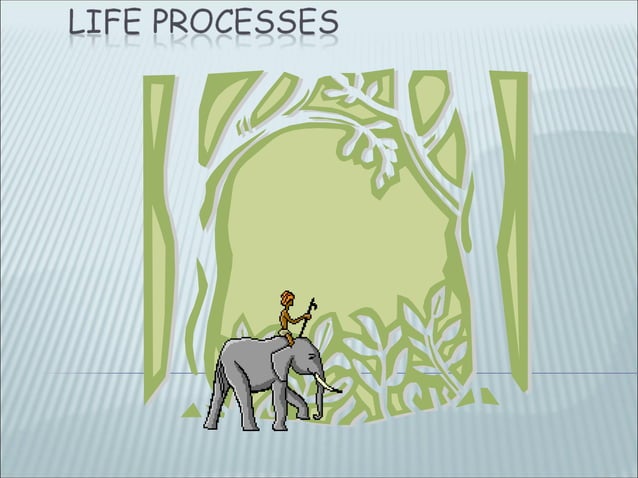 Life processes | PPT | Biological Sciences | Science