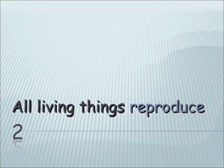 Life processes | PPT