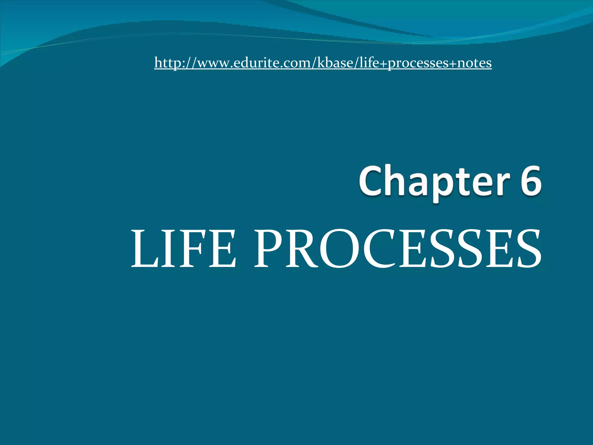 c.b.s.e grade 10 Life processes ppt. | PPT