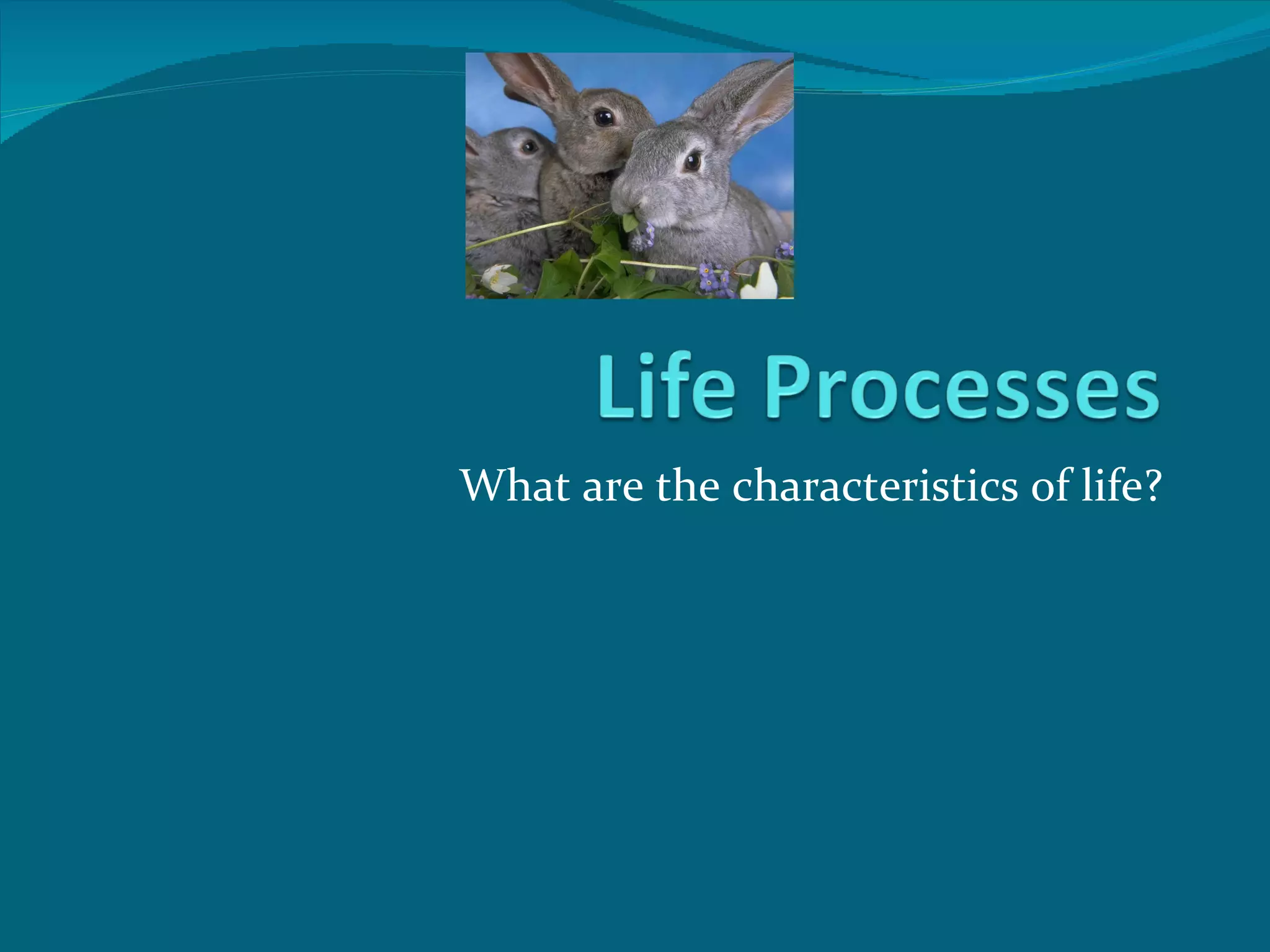 c.b.s.e grade 10 Life processes ppt. | PPT