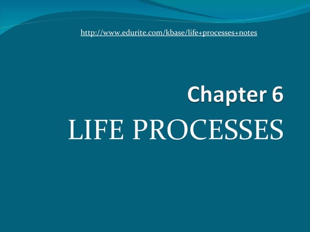 c.b.s.e grade 10 Life processes ppt. | PPT