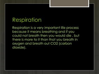 Life processes | PPTX