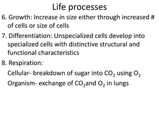 Life processes | PPTX