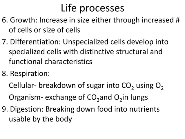 Life processes | PPTX