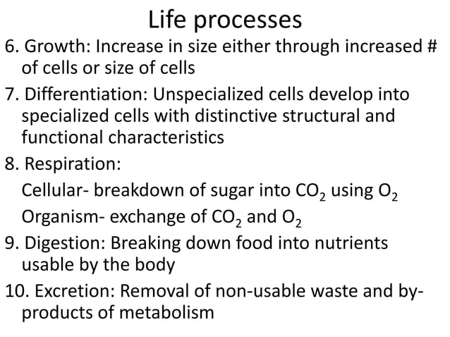 Life processes | PPTX