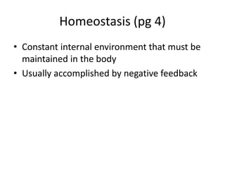 Life processes | PPTX