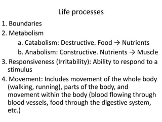 Life processes | PPTX