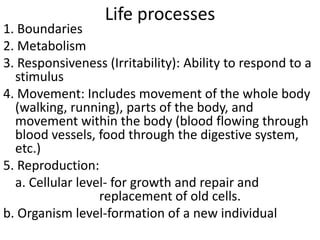 Life processes | PPTX