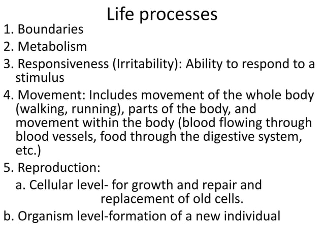 Life processes | PPTX