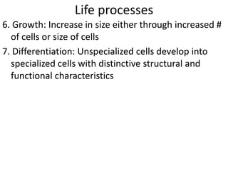 Life processes | PPTX