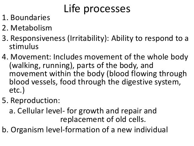 Life processes