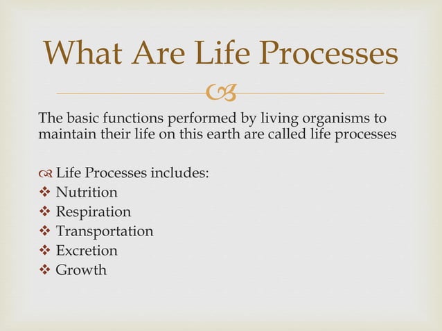 Life processes 10th class | PPTX