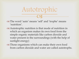 Life processes 10th class | PPTX