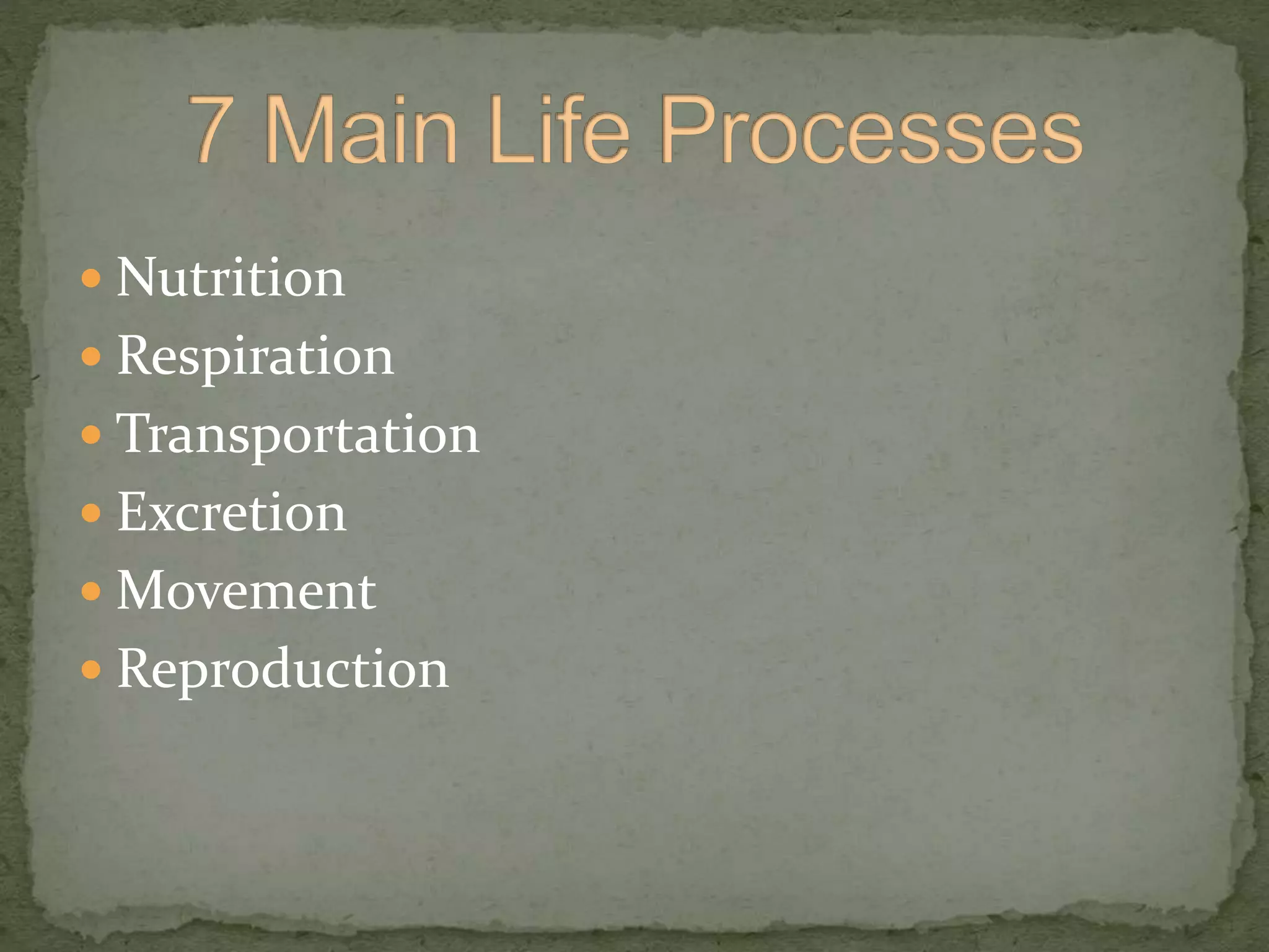 Life processes | PPTX