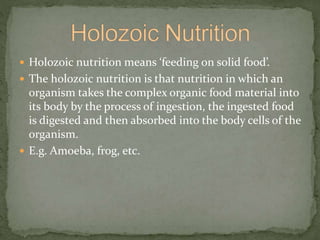 Life processes | PPTX