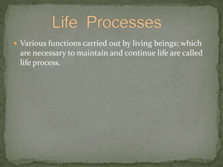 Life processes | PPTX