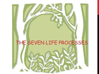Lifeprocesses | PPT