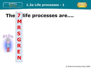 Life processes | PPT