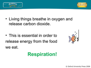 Life processes | PPT