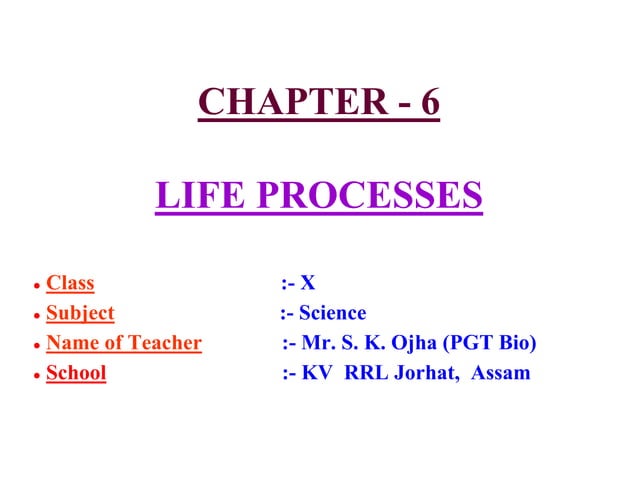 Life processes.ppt | Nutrition | Healthy Living