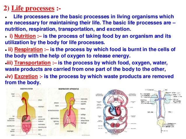 Life processes