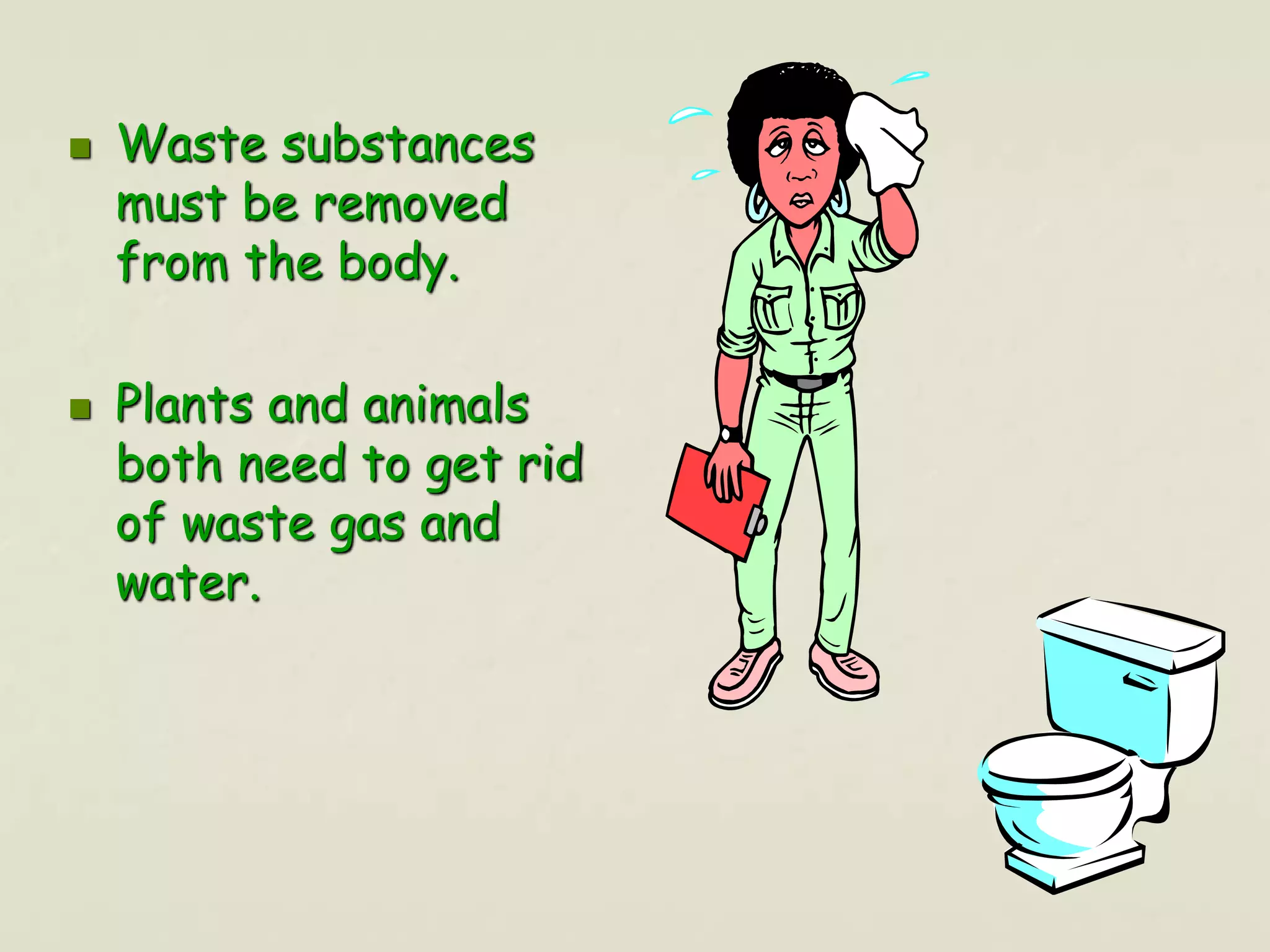 Life Processes | PPT