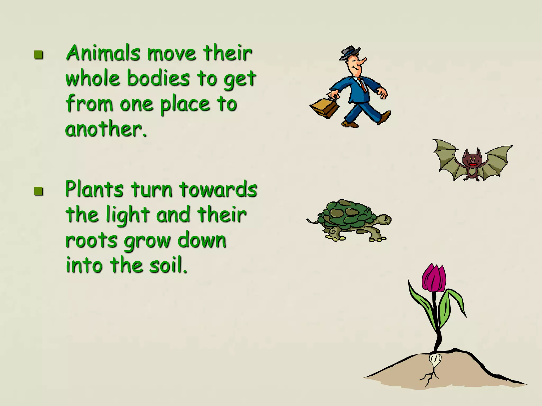 Life Processes | PPT