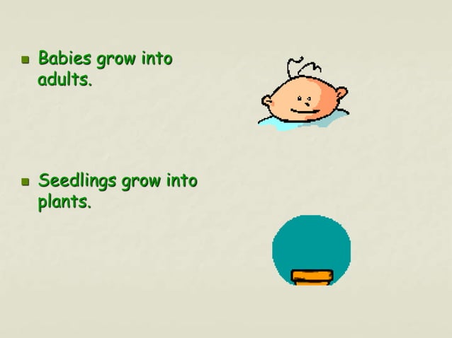 Life Processes | PPT