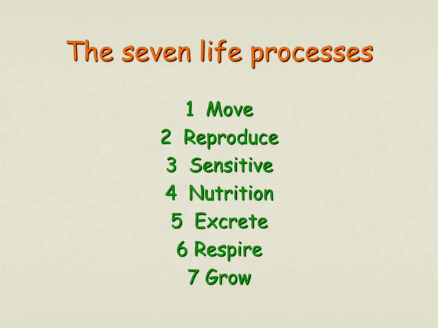 Life Processes | PPT